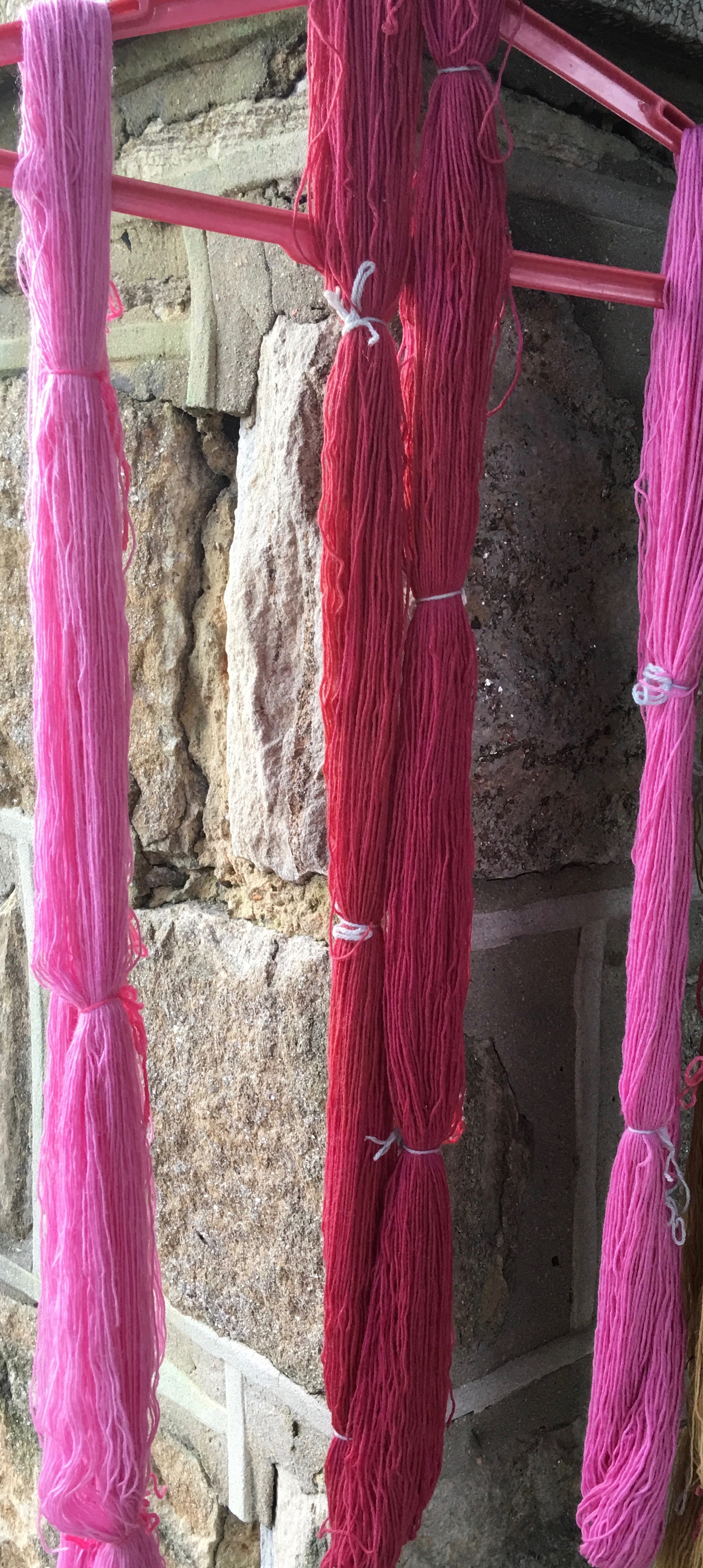 What I Dyed On My Summer Vacation – The Interior of My Brain: A ...