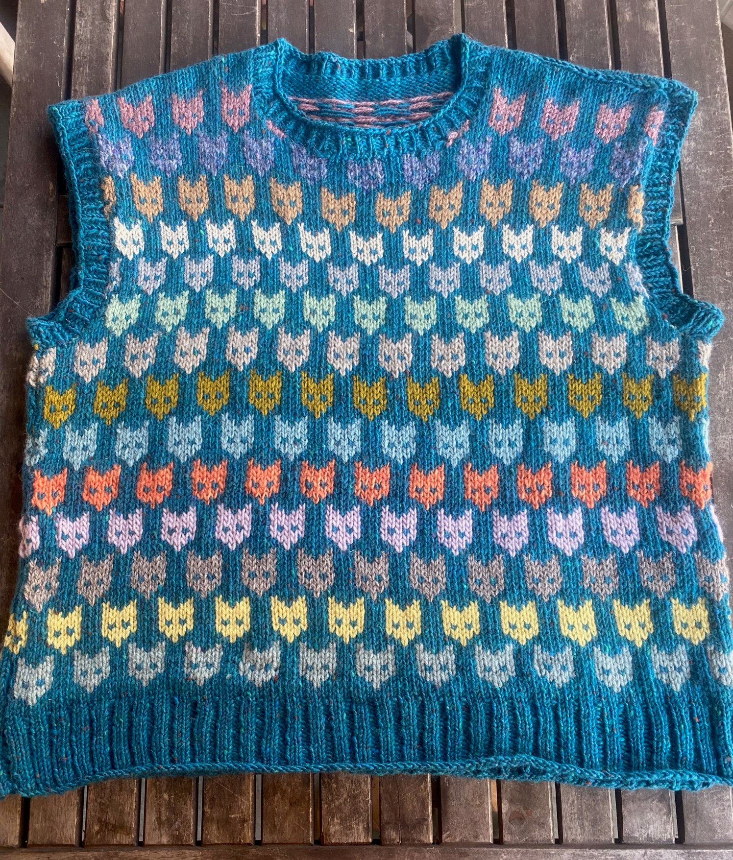 Birthday Cats and Yarn Chicken – The Interior of My Brain: A Knitting ...